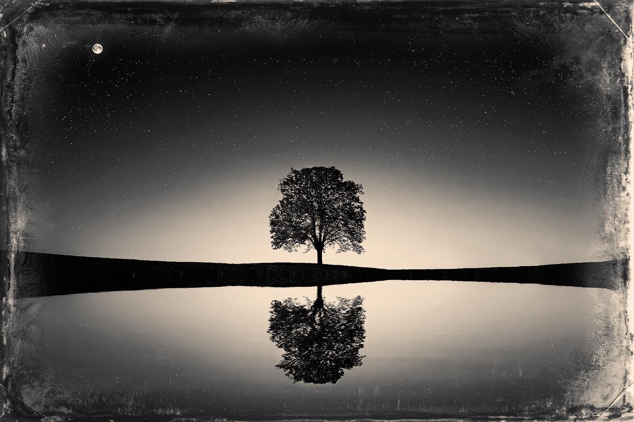 "Lonely" J Edwards Original Art Tin-Type Limited Series From Artist ...