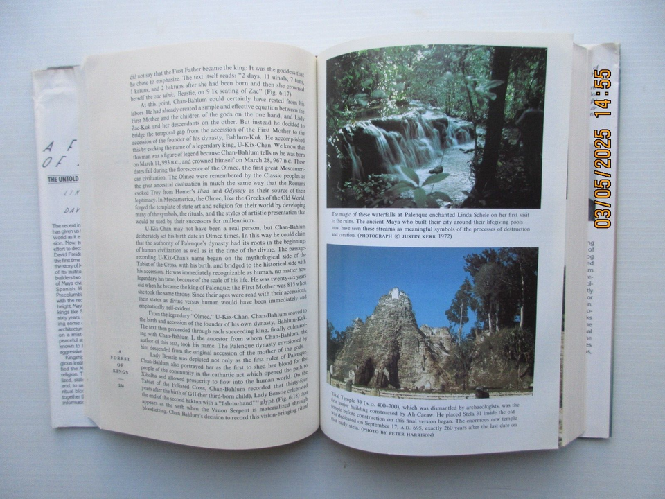 A FOREST OF KINGS by Linda Schele & David Freidel (1990) | eBay