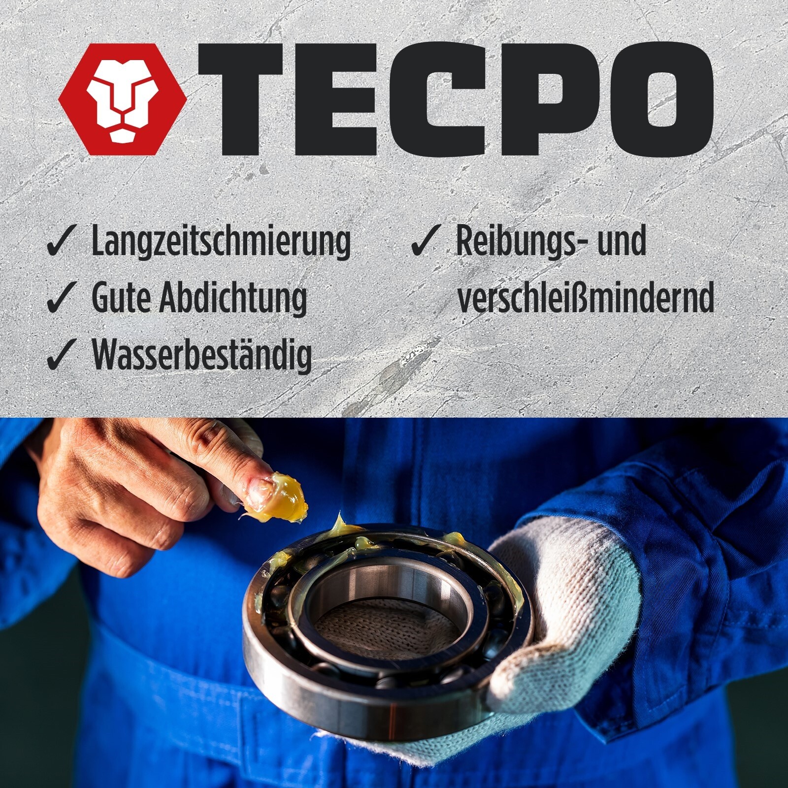 TECPO FETTPRESSE mit HANDHEBEL SCHMIERFETT + MEHRZWECKFETT EP2 2x400g ...