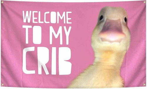 Welcome To My Crib Flag 3x5ft Tapestry Dorm Room Decor Wall Indoor ...