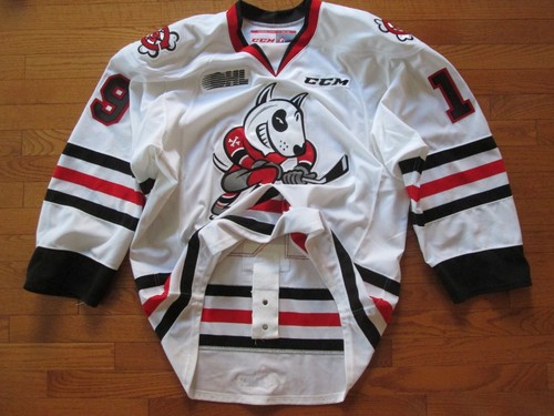 Niagara Ice Dogs Jersey Authentic Size 54 CCM Edge 2.0 OHL CHL #19 ...