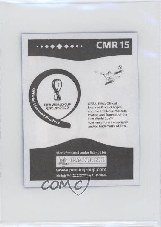 2022 FIFA World Cup Qatar Stickers Cameroon Blue Andre-Frank Zambo ...