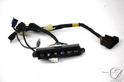 04 Triumph Tiger 955i Instrument Lights Display Indicator Harness | eBay