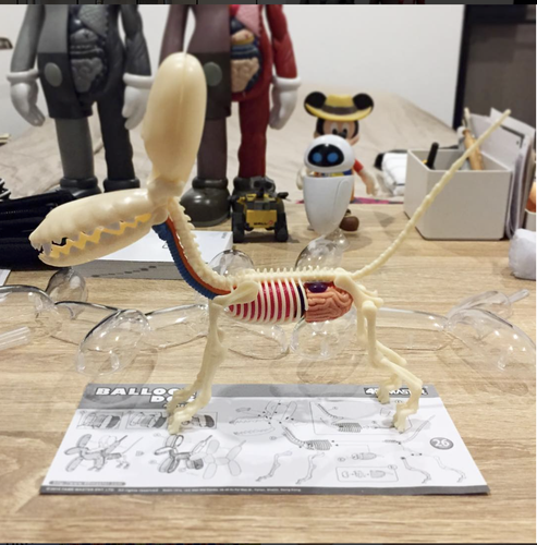 4d Master Balloon Dog Anatomy Model Toy 26 Parts Purple Jason Freeny ...