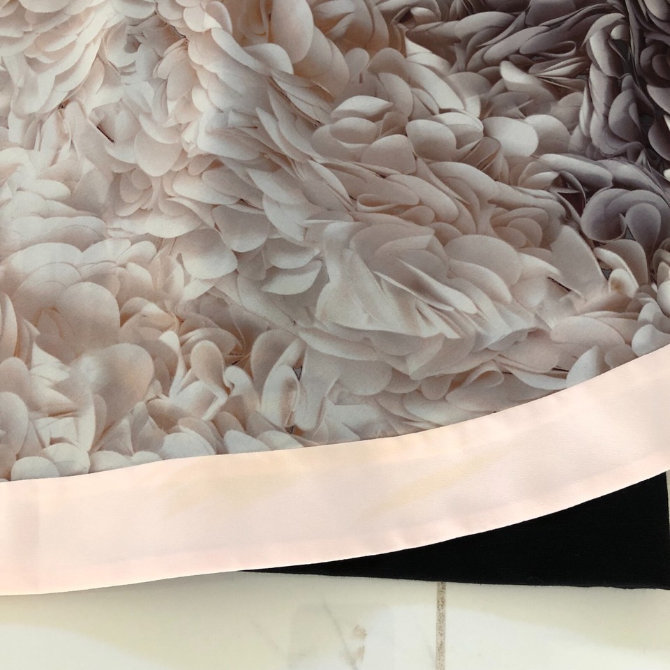 NEW Ted Baker London Patra Rosette Women Dress size 0 = 2 party ...