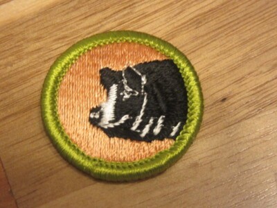 Hog Production Blue Waffle Back Merit Badge IN5 | eBay