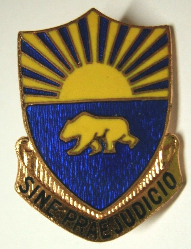 508th MP - Military Police Battalion Unit Crest D.I. - German Made - CB ...