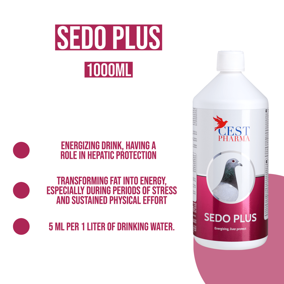 Cest Sedo Plus for Pigeons - Increases Energy & Liver Function | eBay