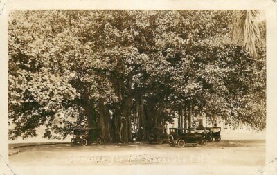 Real Photo Postcard Hawaiian Garage, Banyan Tree, Honolulu, Hawaii ...
