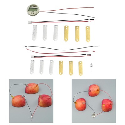 DIY Fruit Battery Fun Bio Energy Science Kits for Children | eBay