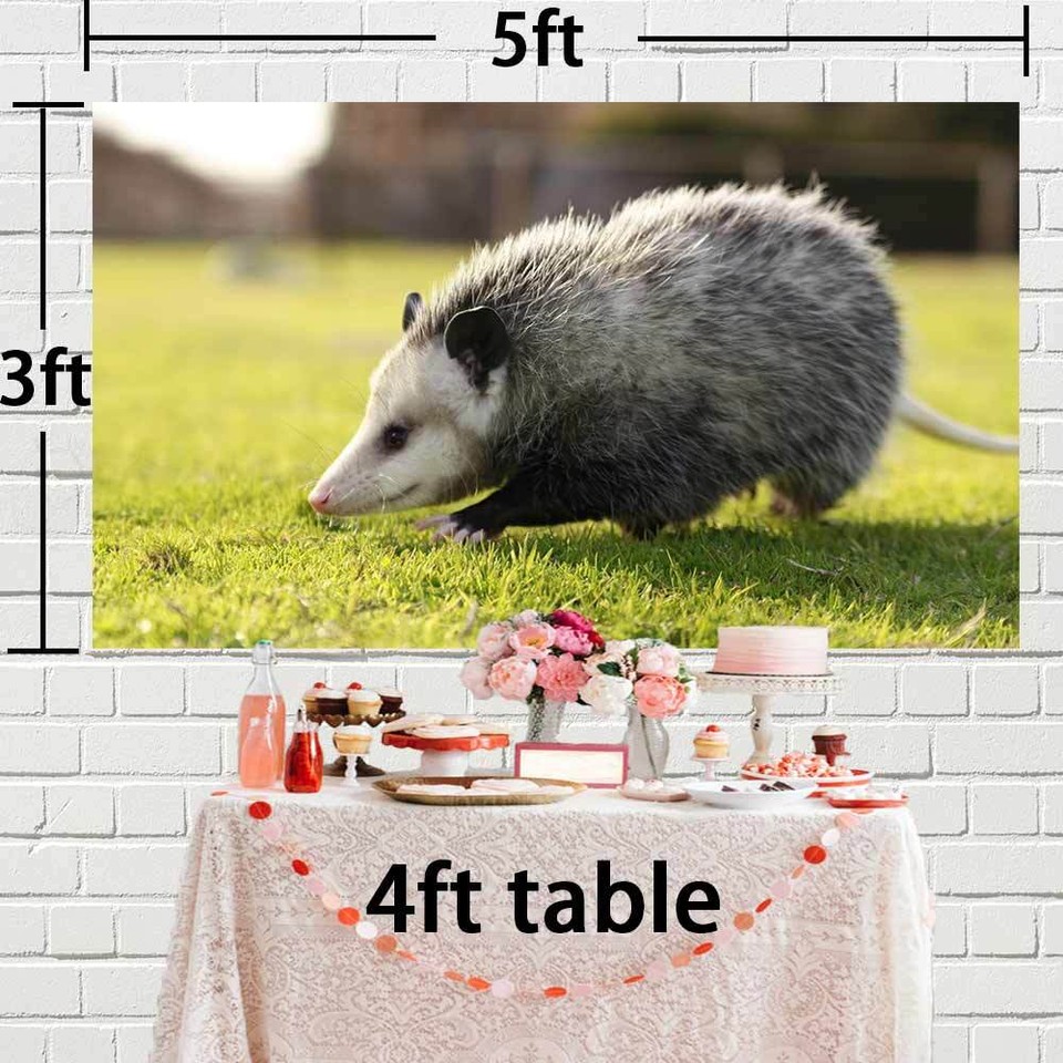 Opossum Party Supplies Birthday Backdrop Banner Photo Background For ...