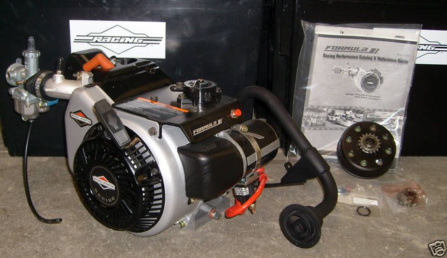 Briggs & Stratton World Formula Go Kart Racing Engine Mini Bike Drift ...