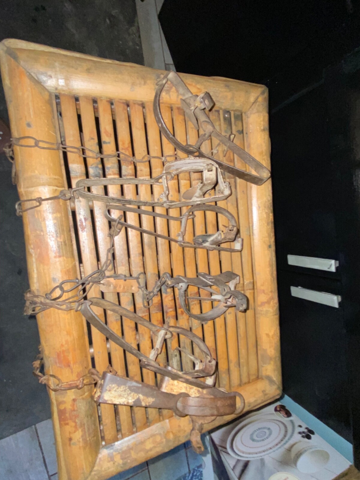 Lot of 6 vintage Spring Foothold Traps Muskrat Mink bobcat coyote etc ...