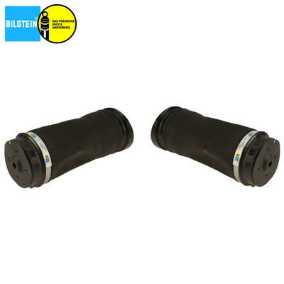 For Mercedes W251 R320 Set of 2 Suspension Air Bag Rear OEM 2513200425 ...