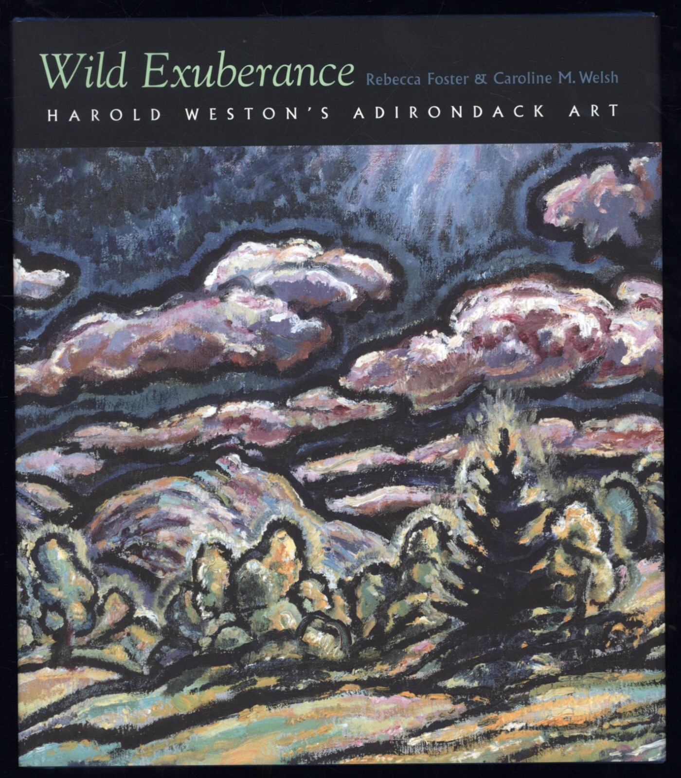 Adirondack Museum Bks.: Wild Exuberance : Harold Weston's Adirondack ...
