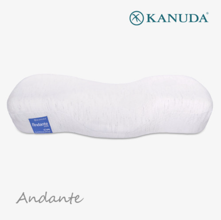Kanuda Blue Label Memory Foam Pillow 4 types Slow Rebound Health Sleep ...