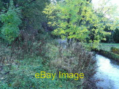 Photo 6x4 Farnley Beck Pudsey/SE2233 At the edge of woodland near ...