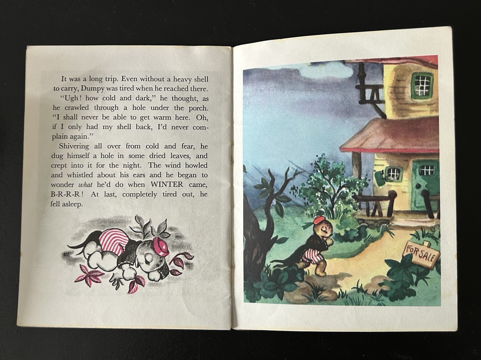 Vintage 1970 Dumpy Book Lucy MacDonald Sunny Books PB Fair | eBay