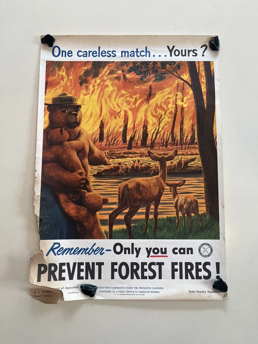 Smokey The Bear Poster