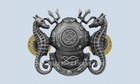 Miniature Badge Navy Master Diver Pin USN | eBay
