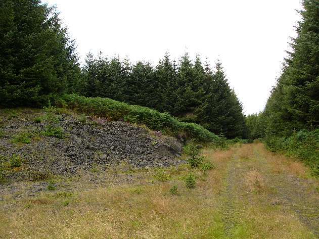 Photo 6x4 Quarry in forest Knowe/NX3171 c2007 | eBay UK