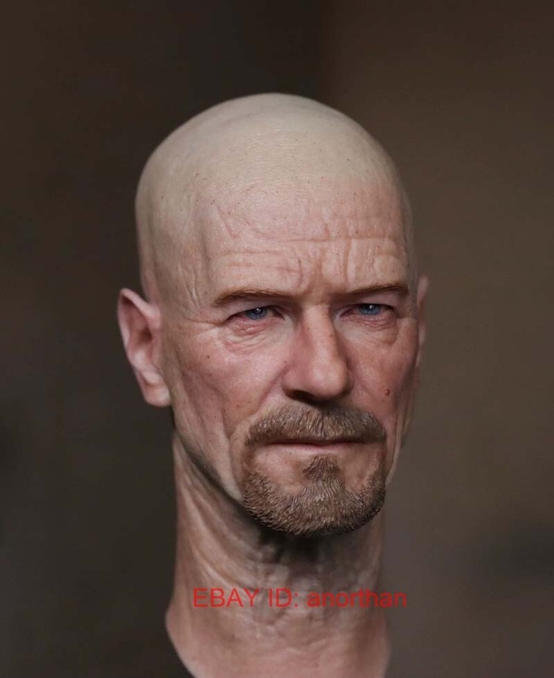 Custom Breaking Bad Walter Hartwell White 1/6 Scale Action Figure Head Sculpt | eBay