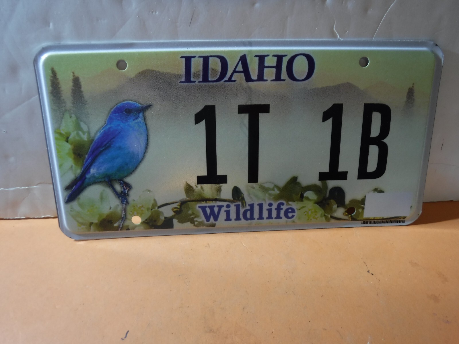 Idaho wildlife bluebird license plate at least three years old 1T 1B | eBay