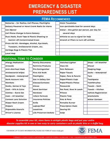 Disaster & Emergency Preparedness Checklist Survival Planning Guide w ...