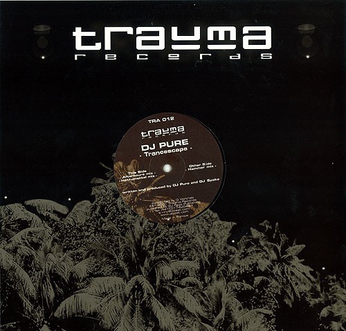 DJ Pure - Trancescape - Swiss 12" Vinyl - 2001 - Trauma Records | eBay UK