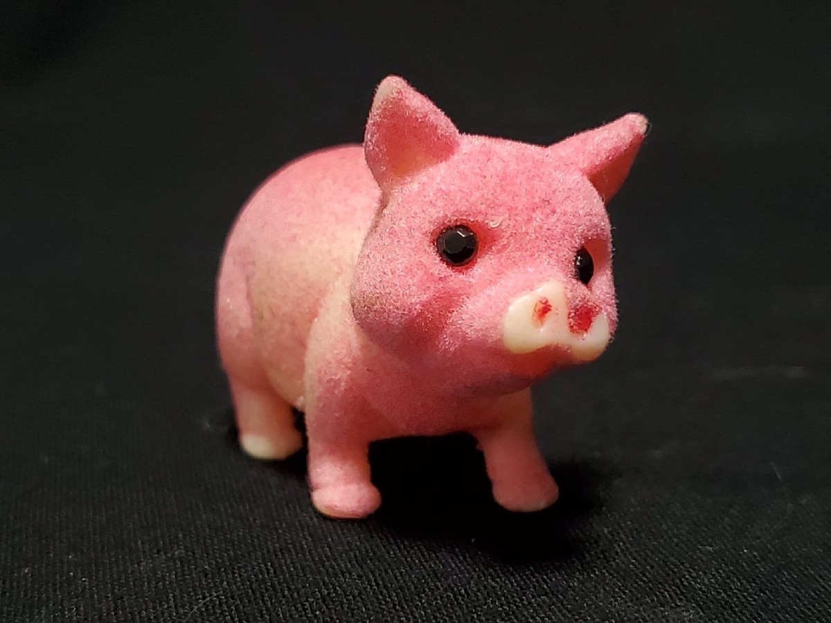 Mini Pig Oink