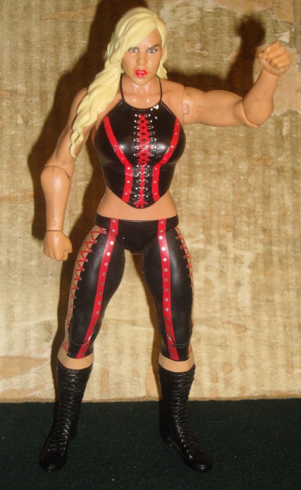 WWE WRESTLING FIGURES MATTEL WWF CHOOSE A WRESTLER ELITE DIVAS TNA AEW ...