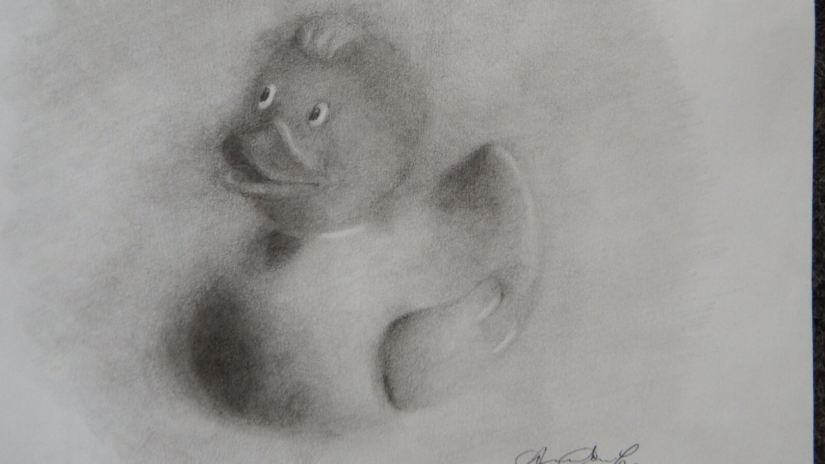 Rubber Ducks Drawing