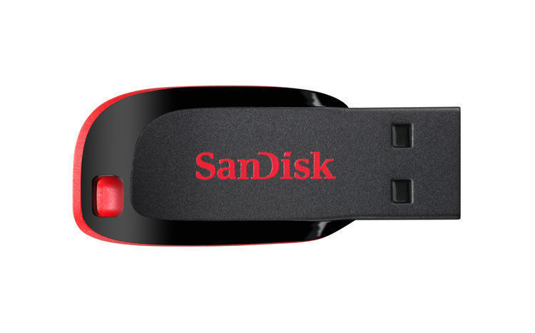 SanDisk Cruzer 128GB USB 2.0 Flash Drive (SDCZ36-128G-B35) | FREE TWO ...