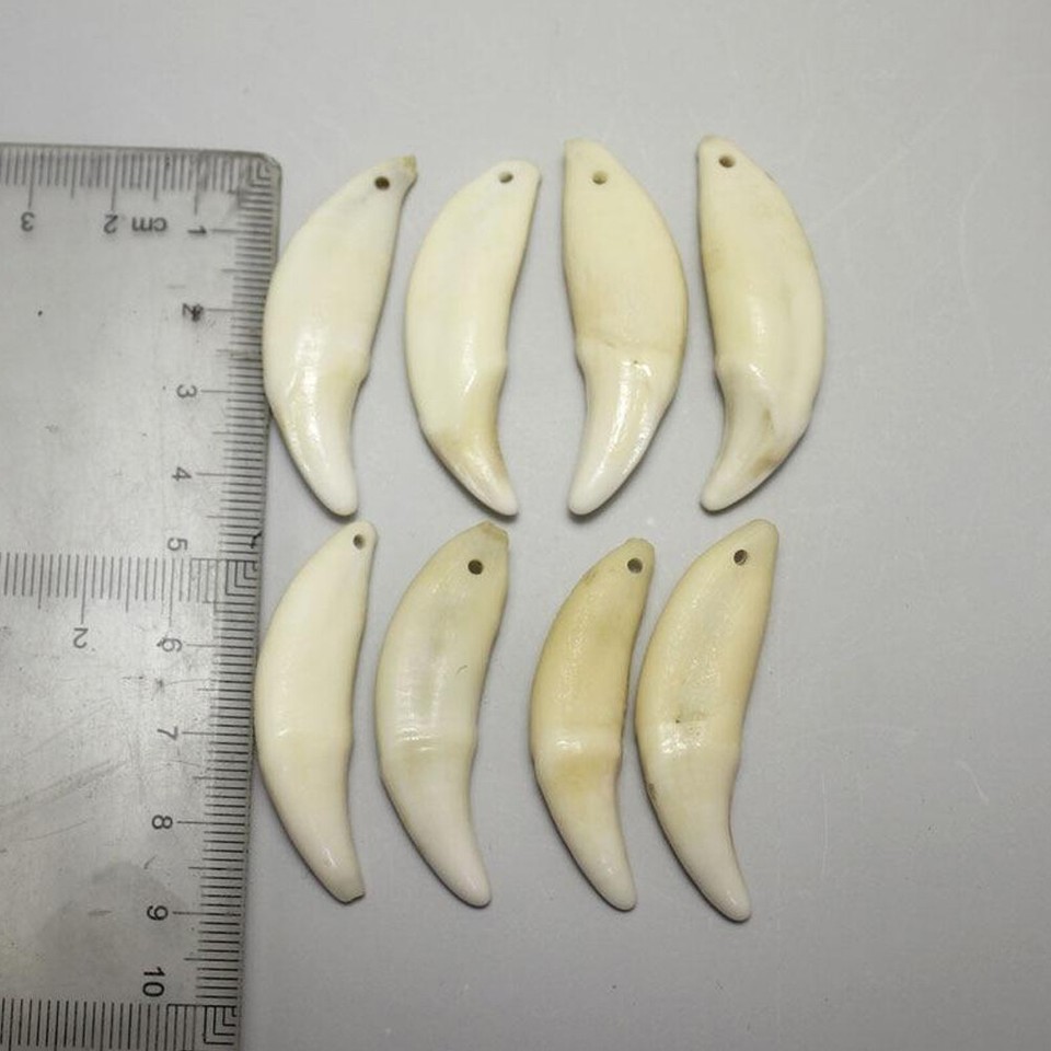 Natural Fang Pendant Wholesale Teeth 4/8PC Retro Black Teeth Tribal ...