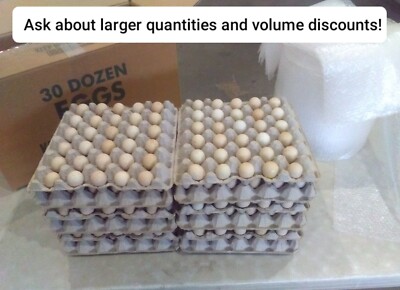 360+ Chukar Partridge Fertile Hatching Eggs | eBay