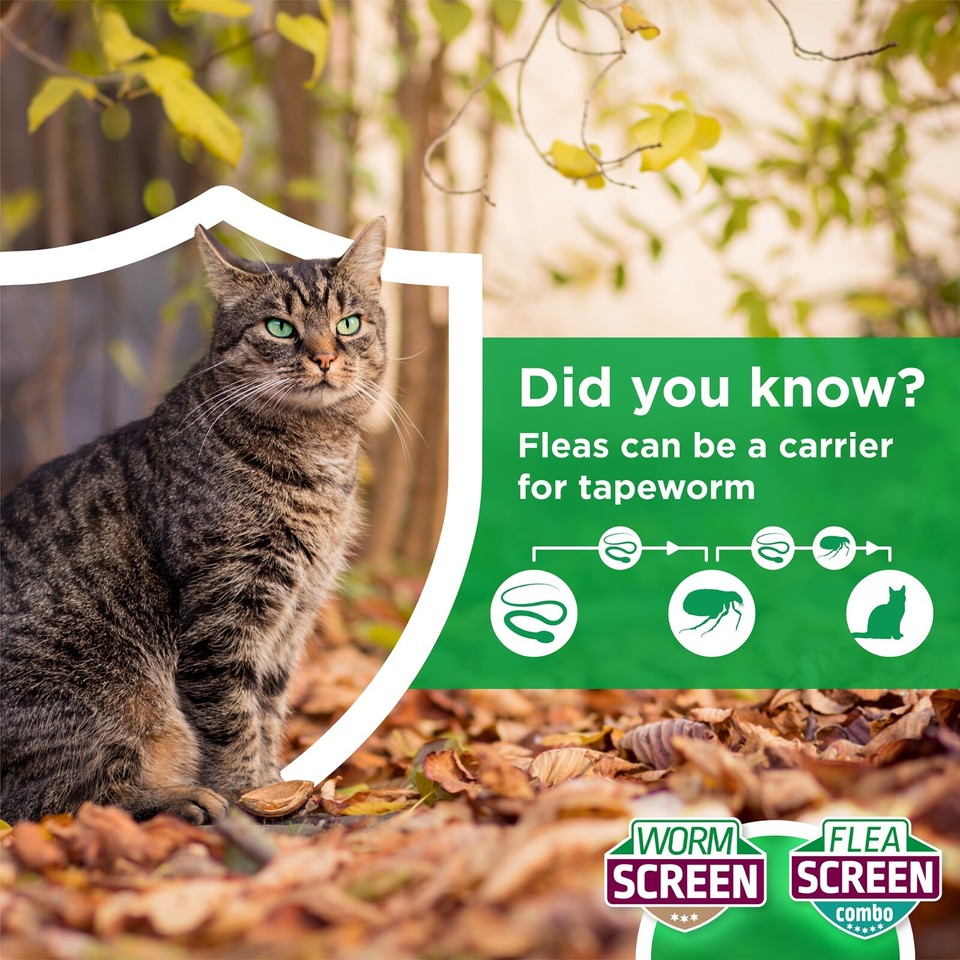 WORM SCREEN Cat: Worming Tablets for Cats & Kittens over 6 weeks old ...