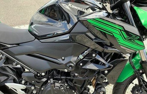 KAWASAKI Z400 2019 EX400G ACCESSORY(DECALS) TANK PAD 99994-1130 | eBay