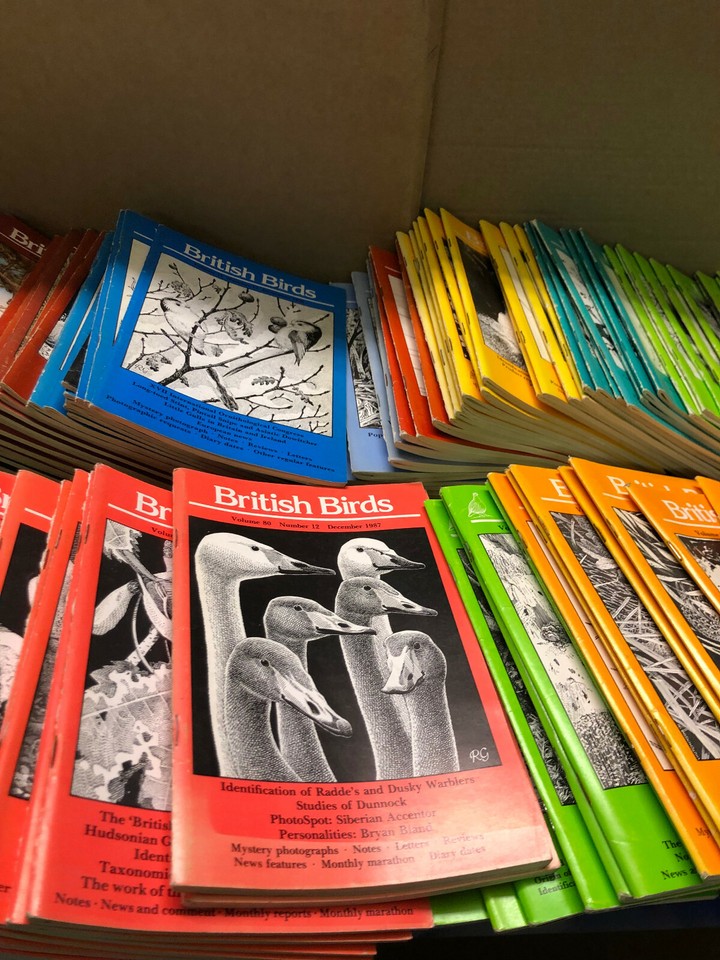 150+ Massive Collection of British Birds Journal/Magazine - Ranging ...