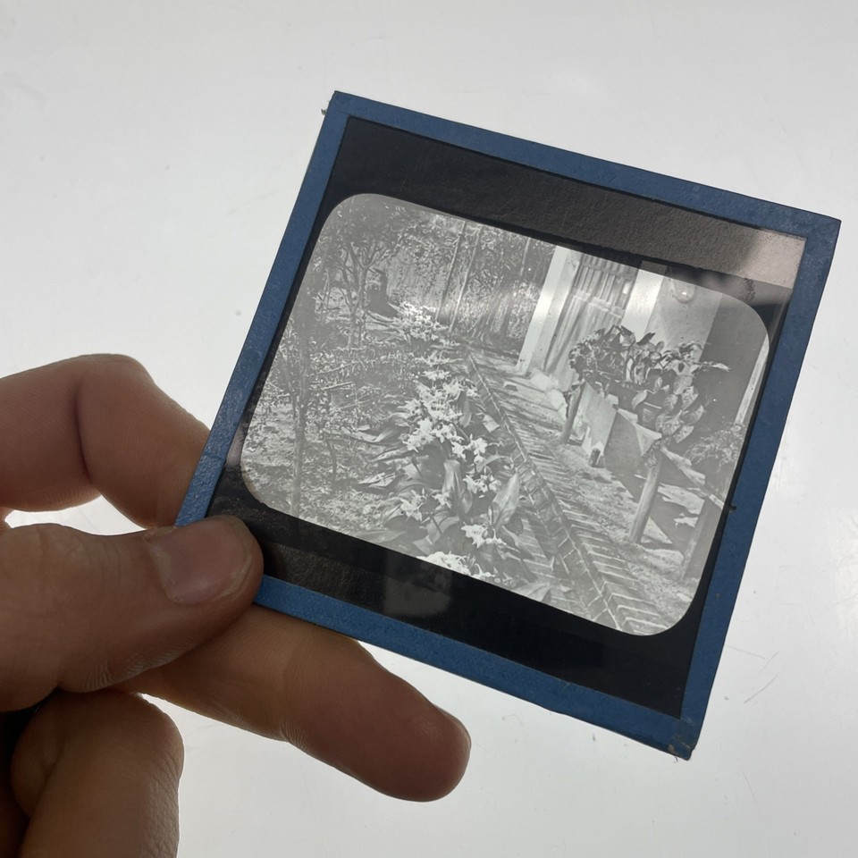 ORIGINAL VINTAGE MAGIC Glass Lantern Slide Photograph 1900s JFM Floral ...