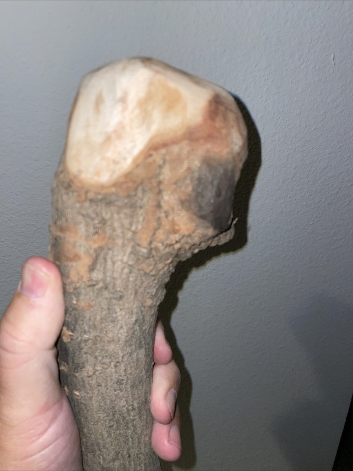 37” Thick Unfinished Natural Shillelagh Irish Celtic Walking Cane Solid ...