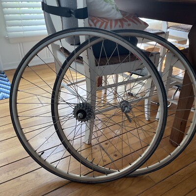 Wheels & Wheelsets - Araya 700C - Nelo's Cycles