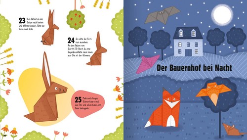Anne Passchier Origami Tiere: Mit 24 Blatt buntem Origami (Hardback ...