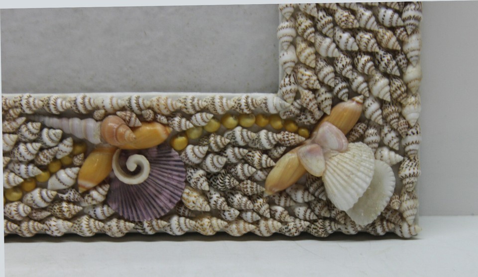 🐚 Beautiful Shells Seashell Photo Frame for 4x6 Picture, Glass Pane ...