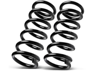 Autopart Premium 69XN19F Front Coil Spring Set Fits 1983-1993 Chevy S10 ...