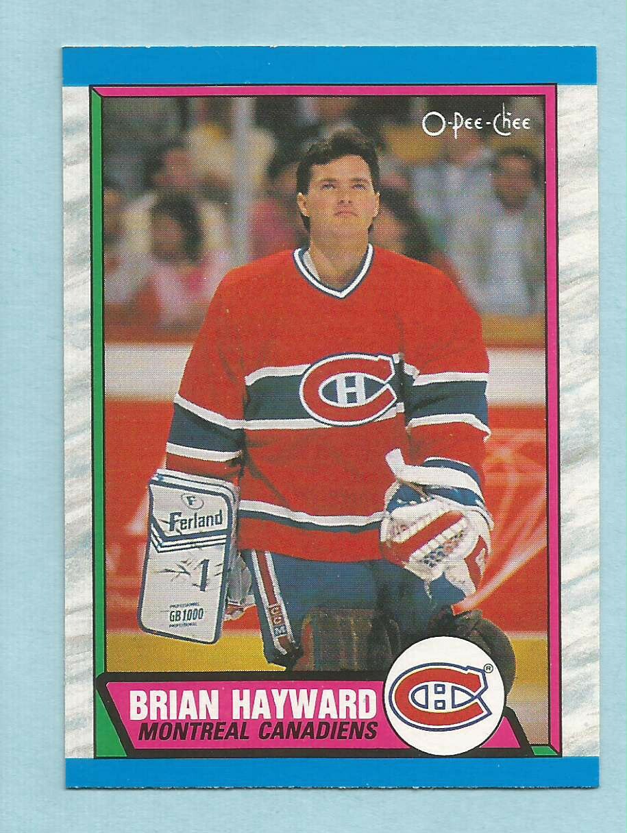 1989-90 OPC O-Pee-Chee Hockey Brian Heyward #237 Goalie Montreal ...