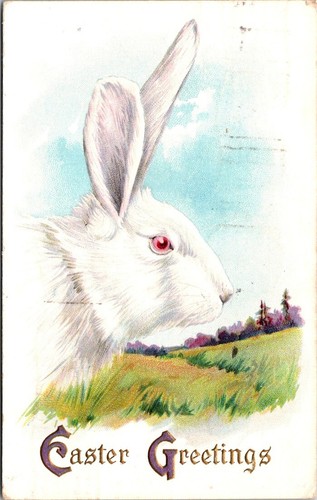 Easter White Rabbit Red Eye PCIE Berkeley Postmark 1916 Embossed postcard PQ1 | eBay