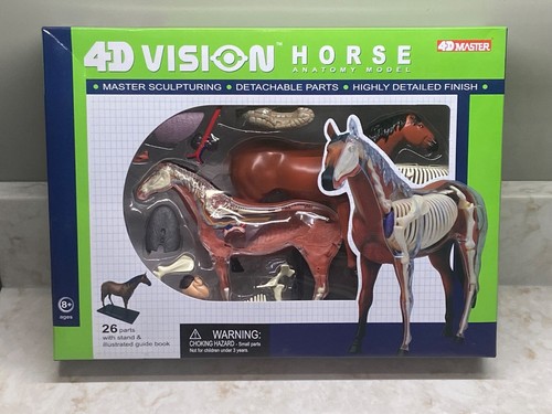 4D MASTER 4D VISION HORSE ANATOMY MODEL 26 PARTS WITH STAND HIGHLY ...