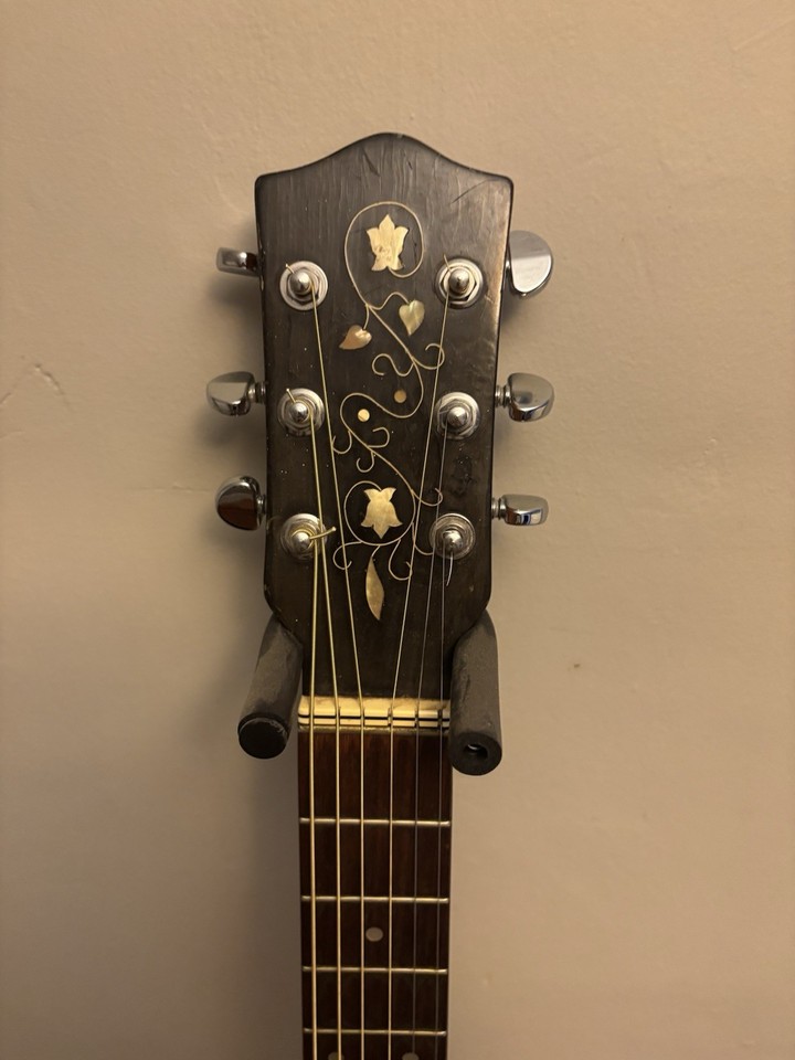 Vintage 1960 Hofner 495 acoustic guitar - arched back | eBay