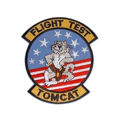 F-14 TOMCAT FLIGHT TEST HAT PATCH CAP US NAVAL AVIATION PIN UP NAVY ...