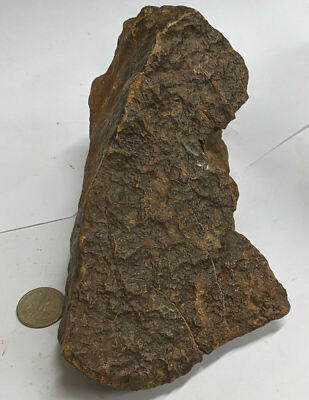 2156 Gram Unclassified NWA METEORITE (#M725) | eBay